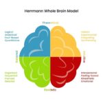 The Power of Whole Brain Thinking in Decision Making | HBDI